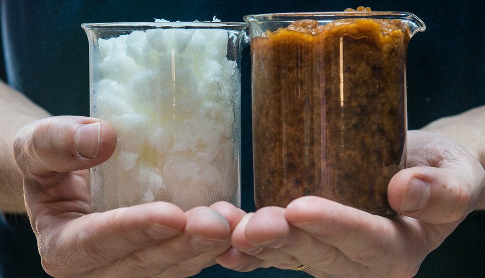 Nouryon commissions chlorine dioxide plant for Arauco’s MAPA project in ...