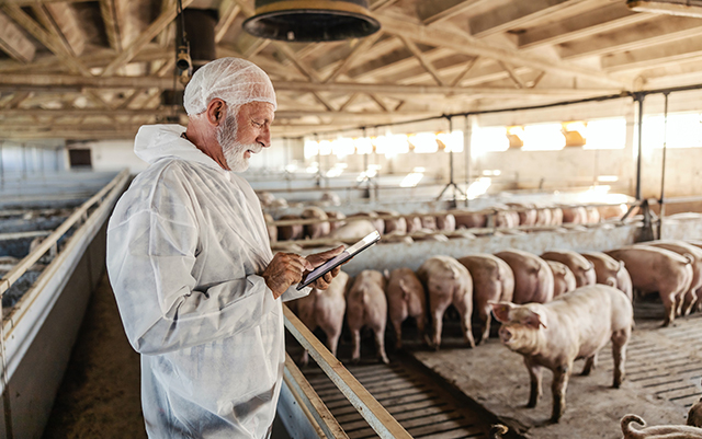 Feed additives - emulsifiers for multiple feed applications