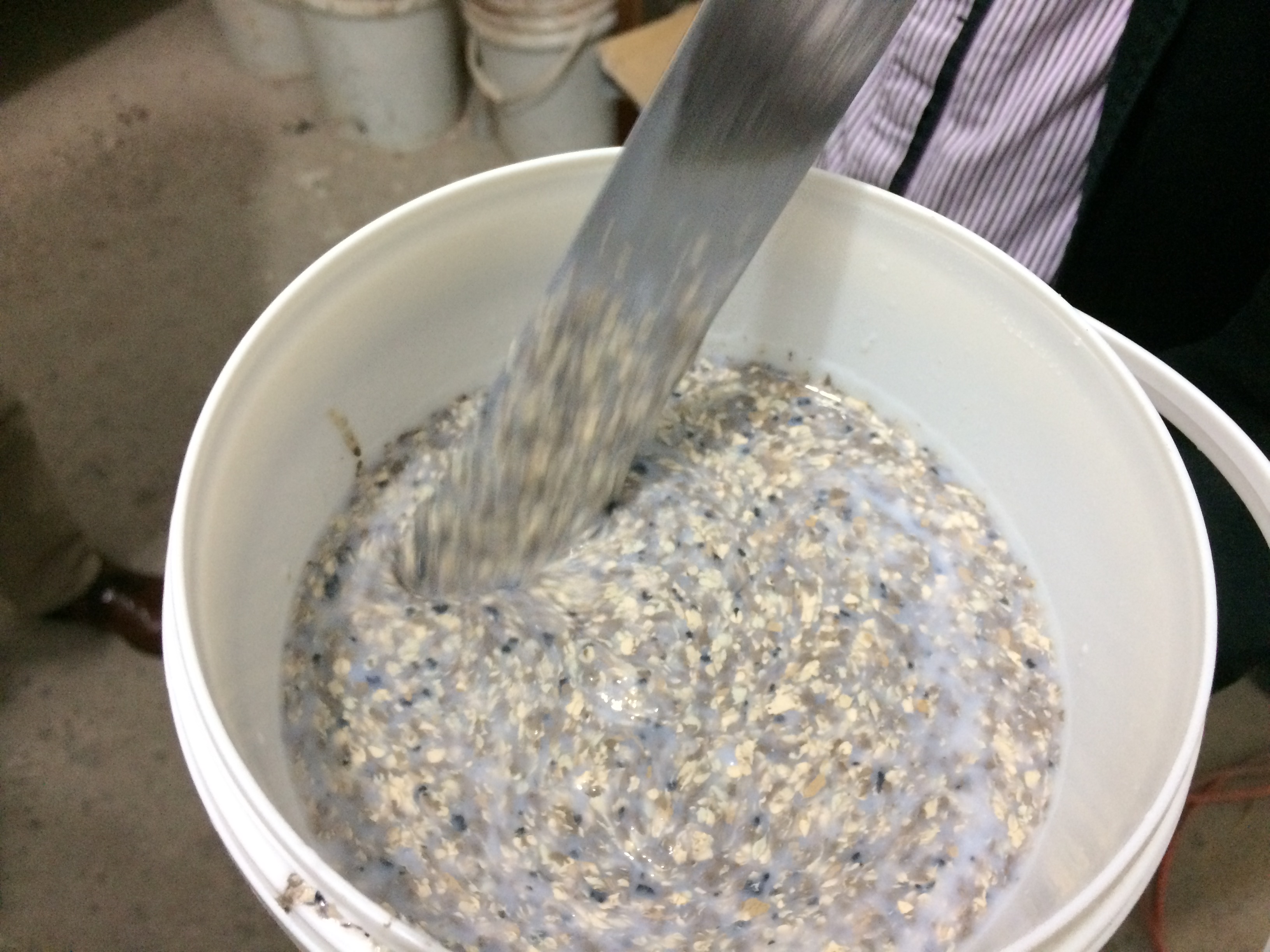 Multicolor paint with sand