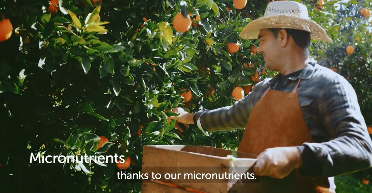 Crop nutrition for improved crop quality