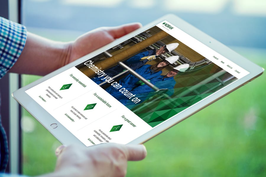 Our heritage, Nouryon's history