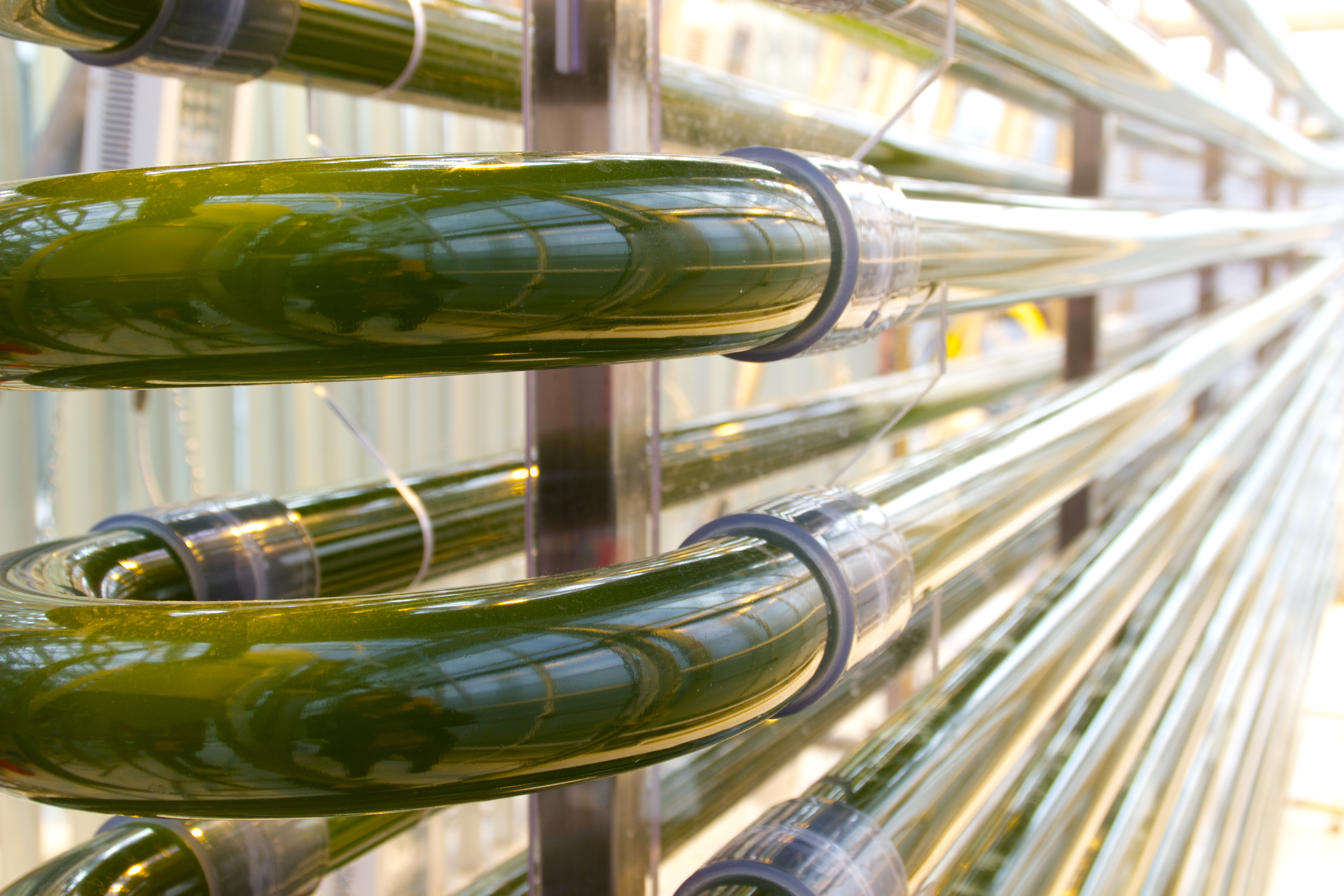 Photanol to build demonstration plant to make chemicals from carbon ...