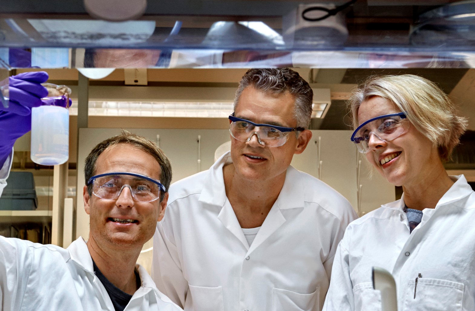 About the company, get to know us at Nouryon